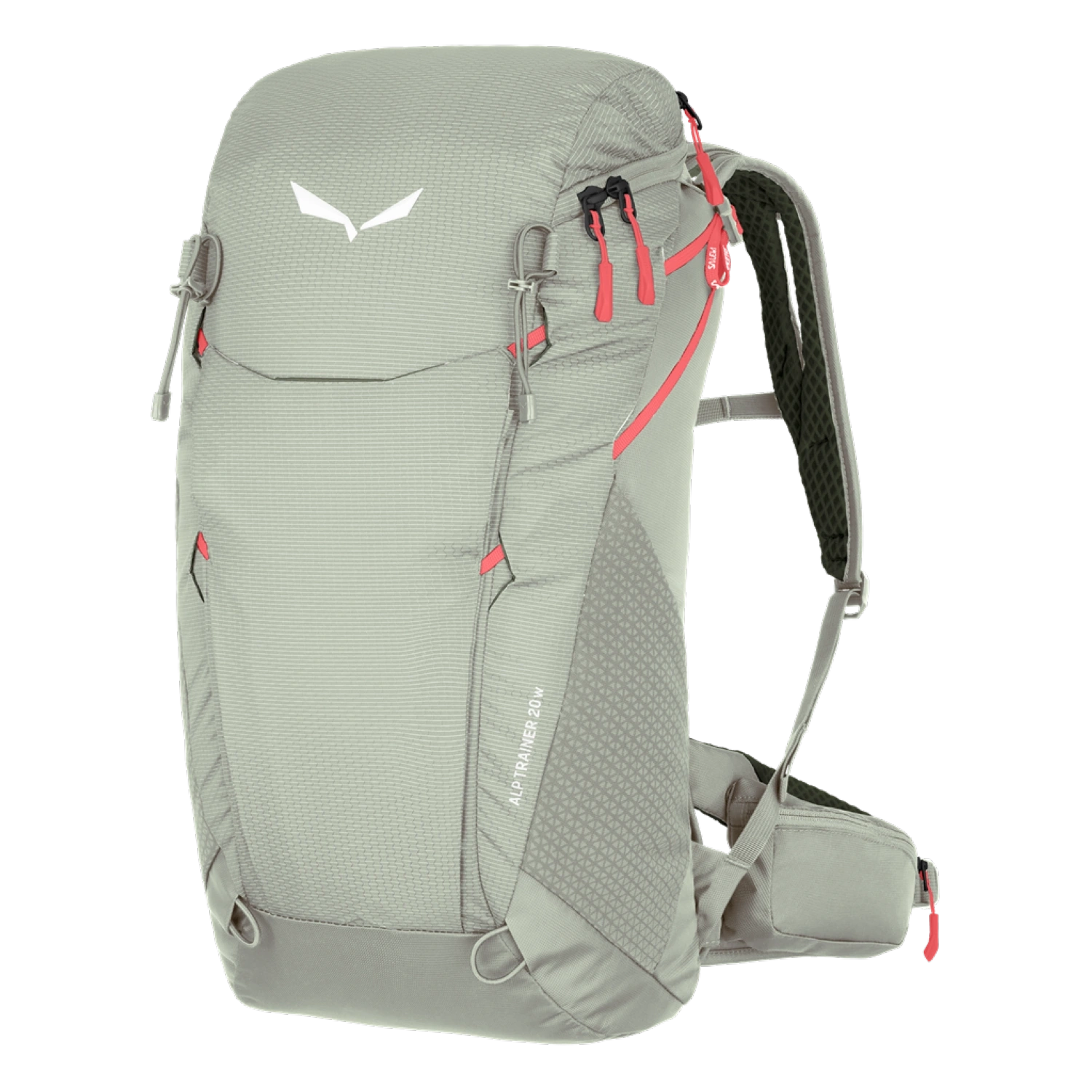 Damski Plecak Trekkingowy Salewa Alp Trainer 20 Ws - shadow Zielony ...